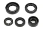 Buy Bajaj Pulsar NS 160 Double Disc Original engine oil seal at best ...
